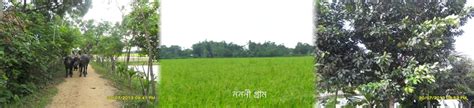নন্নী ইউনিয়ন