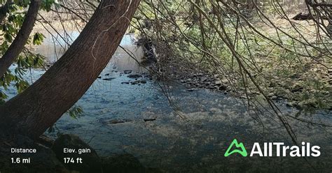 Shavers Fork River Loop West Virginia 130 Reviews Map Alltrails