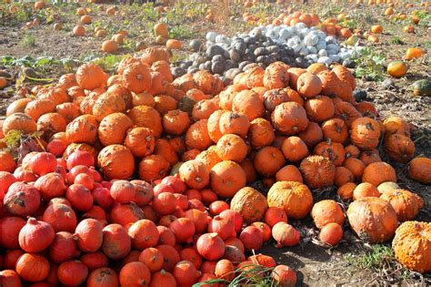 If You Only Do One Thing This October — Peexo Style Beauty And Home In London