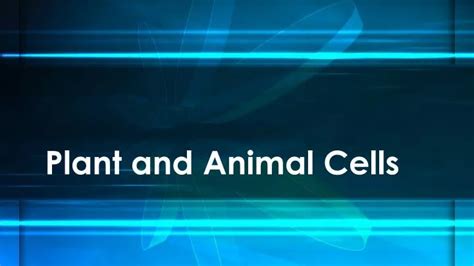 Ppt Plant And Animal Cells Powerpoint Presentation Free Download