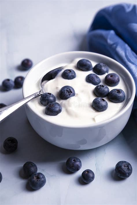 Creamy Greek Yogurt And Blueberries In A Bowl Stock Image Image Of