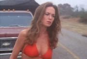 DF RG Catherine Bach In The Dukes Of Hazzard Phun Org Forum