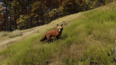 Way Of The Hunter Tests Spieletests DLH NET The Gaming People