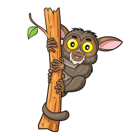 Tarsier Illustrations Royalty Free Vector Graphics And Clip Art Istock
