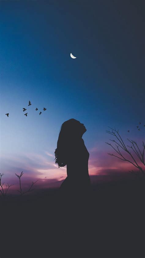 Aesthetic Silhouette Wallpapers Wallpaper Cave