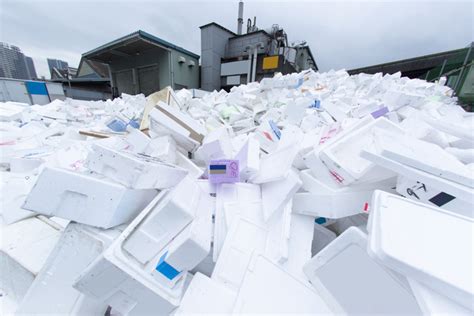 ‘스티로폼 상자가 아니네냉동식품 택배 쓰레기 줄이는 ‘이것