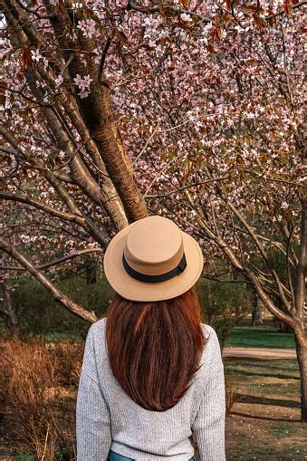 챙이 넓은 모자를 쓰고 긴 머리를 한 소녀가 꽃이 피는 정원에서 봄이 피는 분홍색 벚꽃나무를 산책합니다 4월에 대한 스톡 사진 및 기타 이미지 Istock