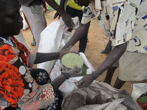 Un Warns Of Looming Widespread Food Crisis In South Sudan South Sudan