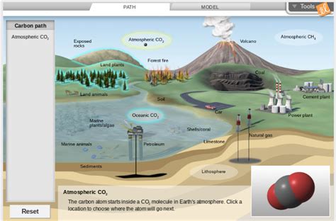 Biology Benchmark Review Diagram Quizlet