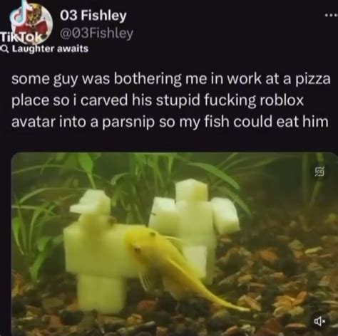 03 Fishley Ti Q3Fishley Q Laughter Awaits Some Guy Was Bothering Me In