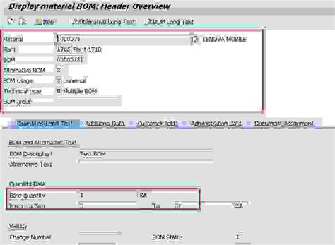 How To Create Display Change BoM In SAP SD