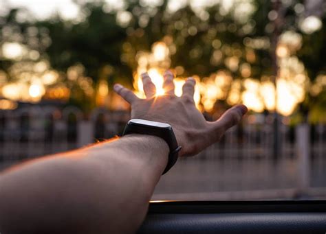 Gizzmo Si Home Facebook