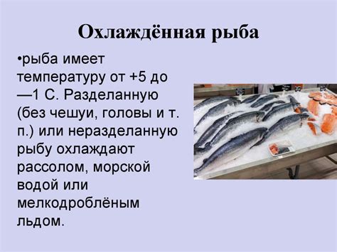 Переработка рыбного сырья. Пищевая ценность рыбы. Механическая и ...
