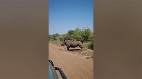 What Do You Think坚敏 Funny Viral Youtube