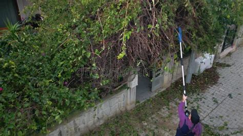 An Elongated Chainsaw Pruning Of Trees A Worker Cuts A Tree With An Electric Saw Stock Video