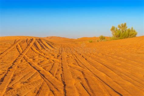 Ландшафт песчанных дюн пустыни желтый с следами автошины Стоковое Фото