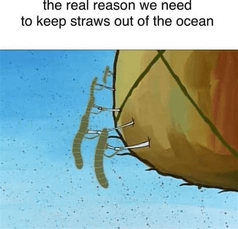 Spongebob Nematodes Still Hungry