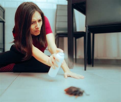 9 Ways To Get A Cockroach Out Of Hiding Proven Techniques Quiet