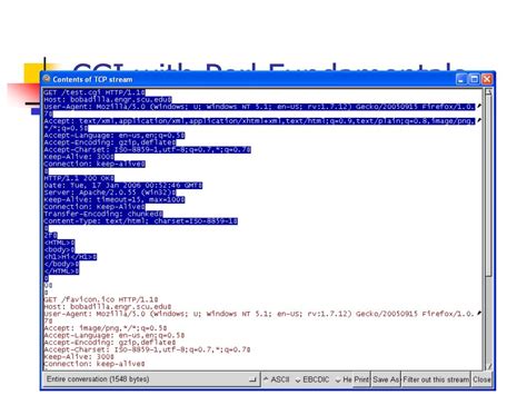 Ppt Cgi Scripting And Vulnerabilities Powerpoint Presentation Free