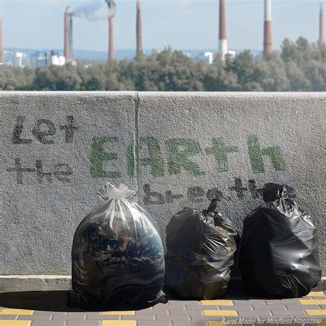 Let The Earth Breathe The Problem Of Microplastics Mindless Mag