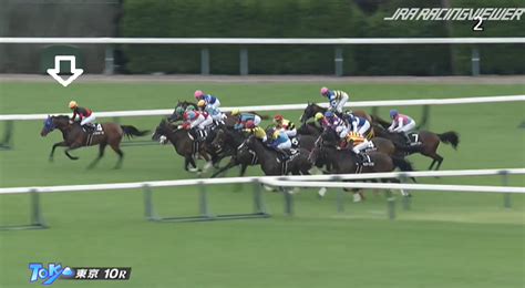 ルコルセール 神無月s快勝 口取り成就 毎日が一口馬主！