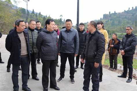 【脱贫攻坚】县委书记周华荣深入乡镇调研脱贫攻坚工作 搜狐大视野 搜狐新闻