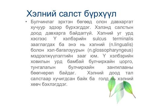бие даалт №1 салст