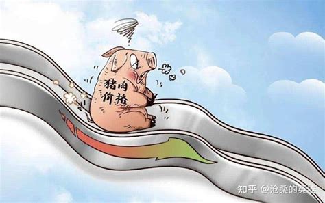 生猪市场走势低迷双胞胎集团帮助合作养户走出悲观情绪 知乎