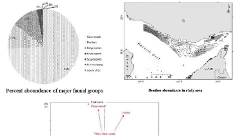 The Distribution And Abundance Of Macrobenthic Invertebrates In The
