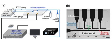 Microfluidic Electrical Impedance Spectroscopy Measurement Saluki