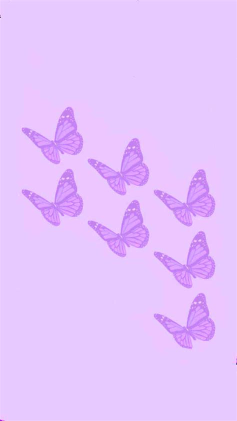 Download Light Purple Solid Background