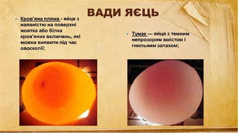 Техн Кулінарія Тема 8 Урок 84 Будова та хімічний склад яйця Види