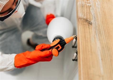 A Propos｜lutte Anti Nuisibles à Louviers Et En Région Parisienne