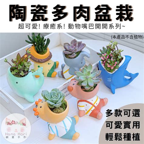 高雄現貨 多肉盆栽 多肉花盆 多肉植物 動物花盆 動物造型 陶瓷花盆 盆栽容器 盆栽 盆器 花器 嘴巴開開系列 蝦皮購物