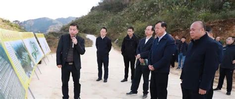 李彬到乐业县检查调研殡葬服务设施建设三年行动计划落实情况 县人民政府