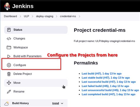 Jenkins Configuration Samagra Devops Guide