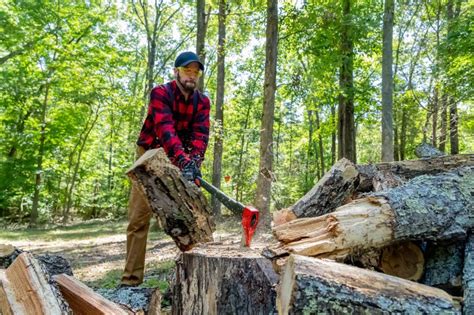 Strength And Preparation A Young Manâ€™s Cutting Wood Journey To