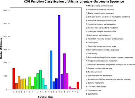 Kog Function Classifications Of The A Orientale Unigenes Download Scientific Diagram