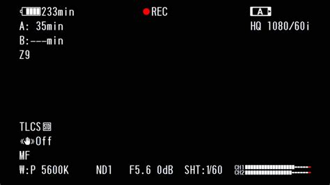 Rec Screen Stock Footage Video | Shutterstock