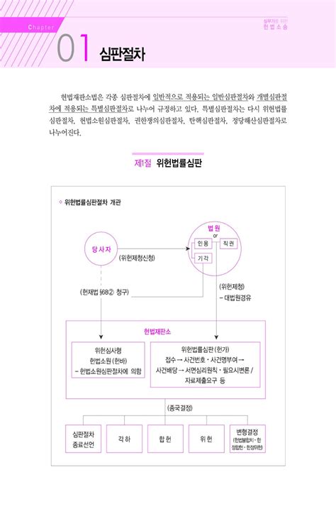 알라딘 미리보기 실무가를 위한 헌법소송