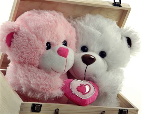 Love Teddy Bear Wallpapers Wallpapers