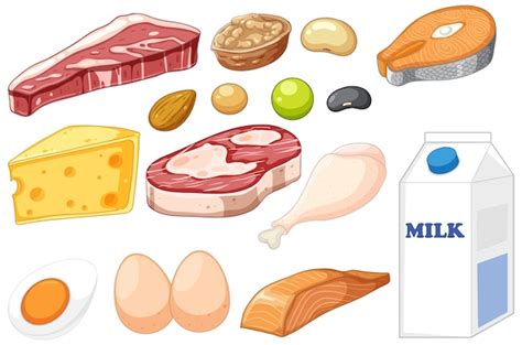 Grupo De Alimentos Protéicos Vetor Grátis