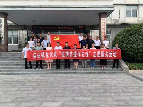 临沭县店头镇组织县镇党代表开展“疫情防控作先锋”志愿服务活动 鲁网 · 临沂 山东新闻信息综合服务平台 山东省重点新闻网