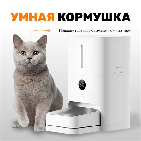 Автоматическая кормушка для кошек и собак купить на Ozon по низкой цене
