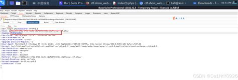 [CTF夺旗赛] CTFshow Web1-14 详细过程保姆级教程~_real flag file name is "flag.txt-CSDN博客