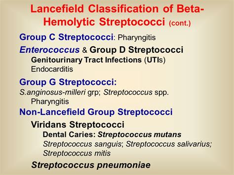 Antibiotics For Beta Hemolytic Strep