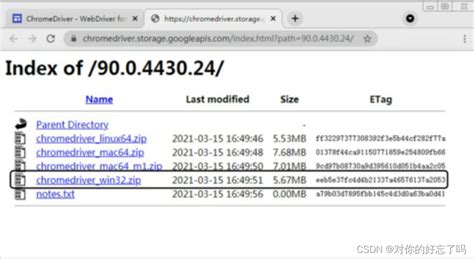 Pythonselenium动态网页抓取与项目实战 Csdn博客