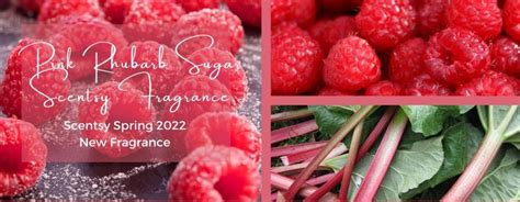 Pink Rhubarb Sugar Scentsy Fragrance