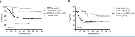 Figure 1 From Characterization Of Cebpa Mutations And Promoter Hypermethylation In Pediatric