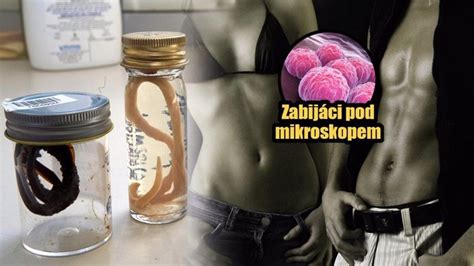 Parazité jsou v našem těle žádoucí tvrdí česká vědkyně eXtra cz